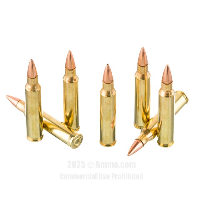 Hornady 223 Rem Ammo (In Stock Now)