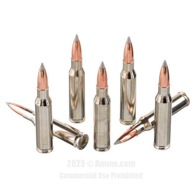 Winchester Ballistic Silvertip Ammo (Best Prices Online)