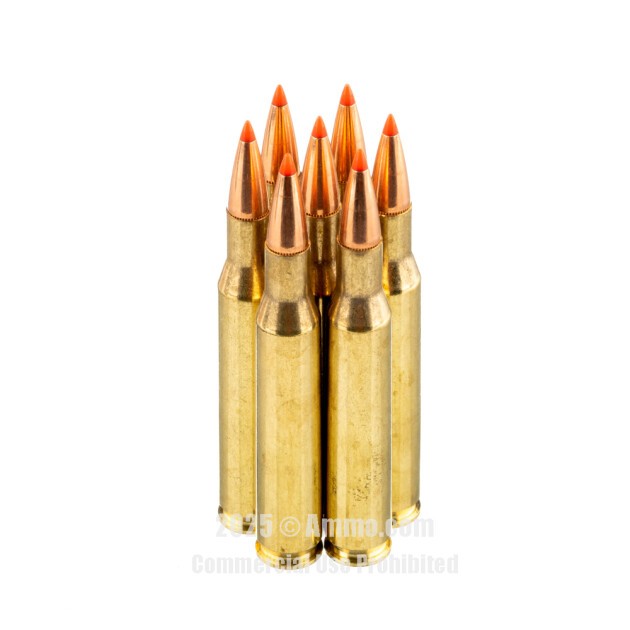Best 270 Win Ammo for Hunting Recommended by Experts at Ammo.com