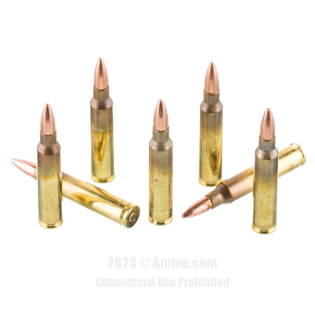 M193 Ammo (Best Prices Online)