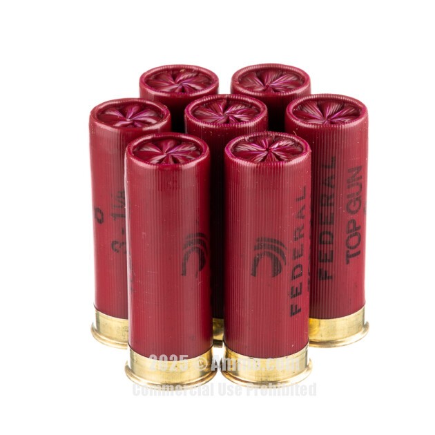 12 Gauge Shotgun Shells (12 Ga. Ammo For Sale)