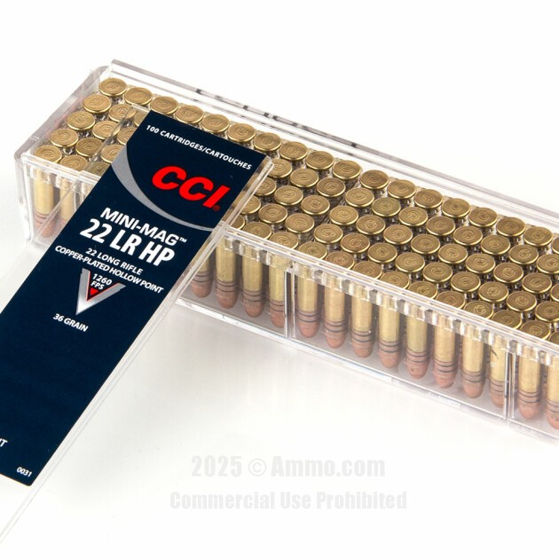 Best 22 LR Ammo Chosen by Experts