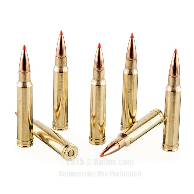 Best Moose Cartridges Chosen by Experts at Ammo.com