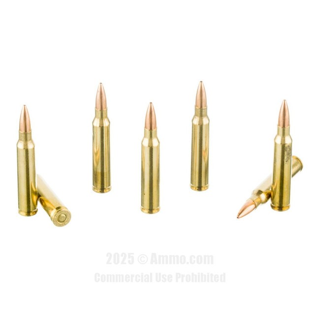 Best 223 Ammo Chosen by the Experts at Ammo.com