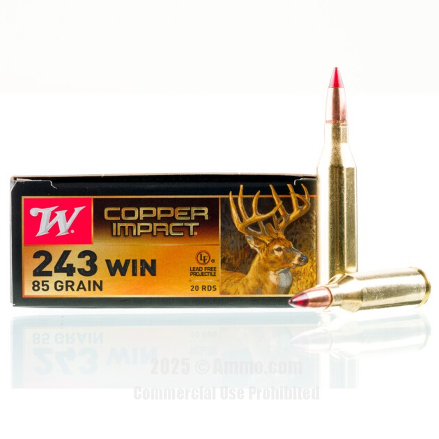 Best 243 Ammo for Deer Hunting: Drop A Big Buck This Deer Season
