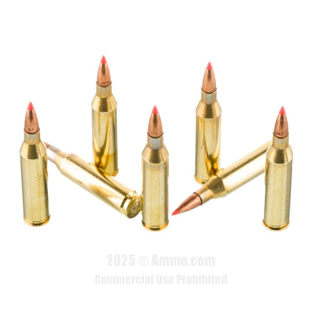 Best 243 Ammo for Deer Hunting: Drop A Big Buck This Deer Season
