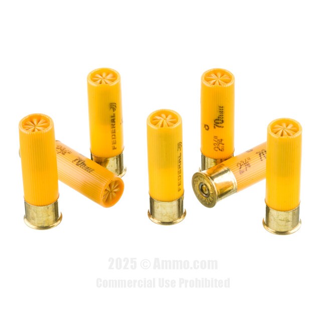 Buy #8 Shot Shotgun Shells Online (12 & 20 Gauge)
