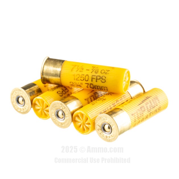 Best Shells for Trap Shooting: Expert's Top Picks