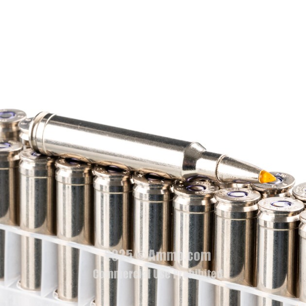 The Best 300 Win Mag Ammo For Elk Hunting