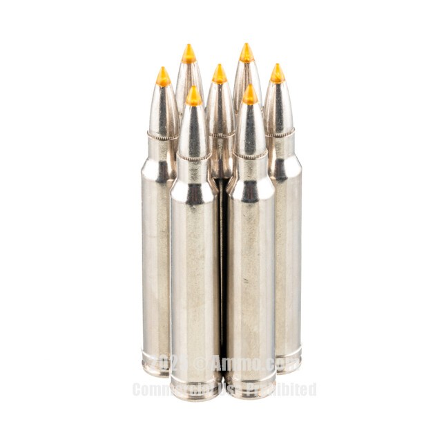 The Best 300 Win Mag Ammo For Elk Hunting