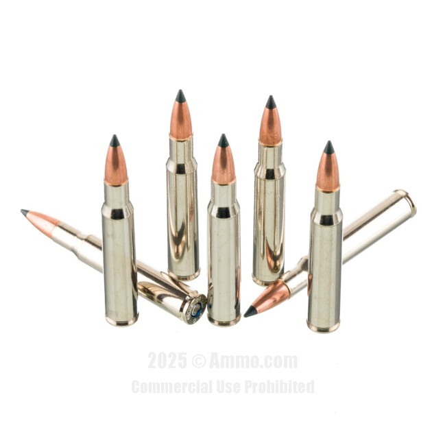 9 Best Cartridges for Elk Hunting [Updated 2025]