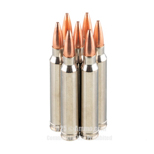 Best 300 Win Mag Ammo Recommended by Experts at Ammo.com