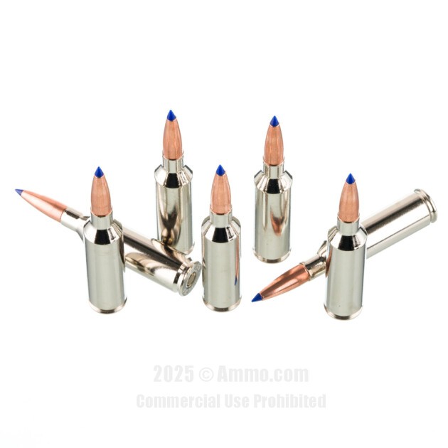 10 Best Long-Range Hunting Bullets: Bagging Big Game Way Downrange