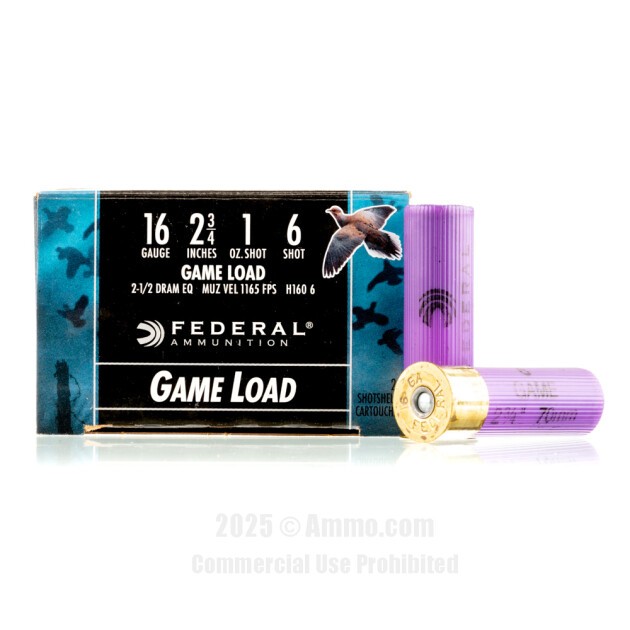 16 Gauge Shotgun Ammo (16 Ga. Shotgun Shells in Bulk)