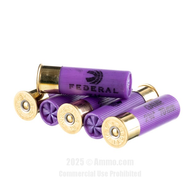 16 Gauge Shotgun Ammo (16 Ga. Shotgun Shells in Bulk)