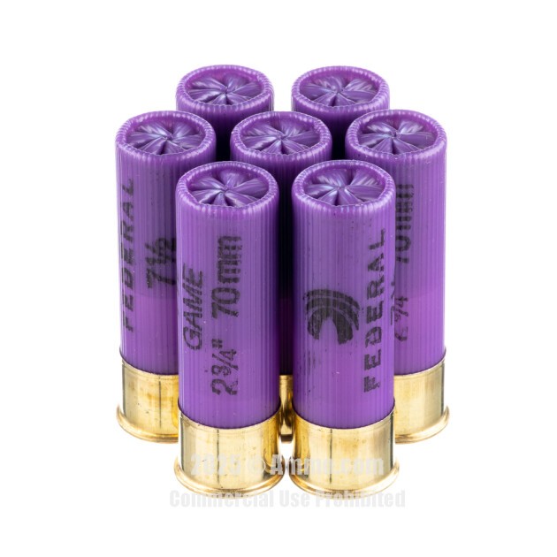 16 Gauge Shotgun Ammo (16 Ga. Shotgun Shells in Bulk)