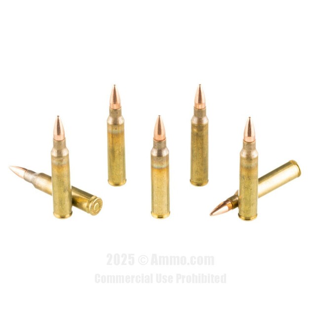 Hornady Frontier 5.56 Ammo Review: Great Value or Hot Rounds?
