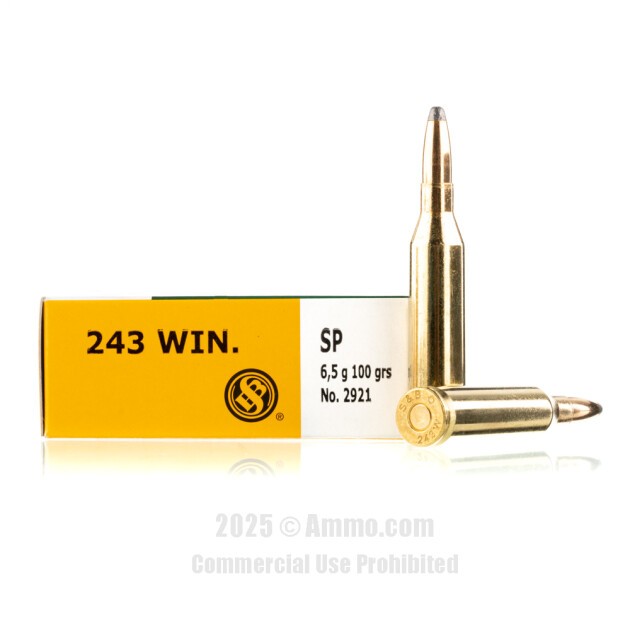 .243 vs .308 Win Caliber Comparison: Ammo Guide for Hunters