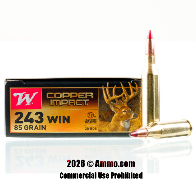 Best 243 Ammo for Deer Hunting: Drop A Big Buck This Deer Season