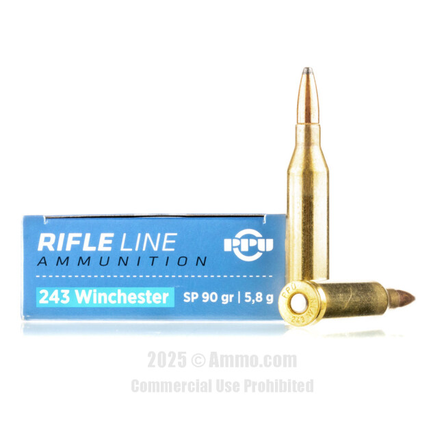 243 Ammo For Sale (Buy 243 Winchester Ammunition)