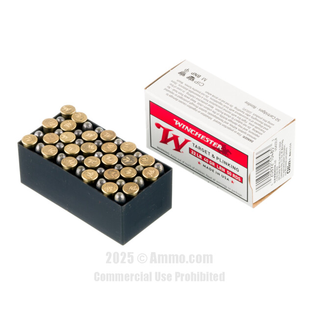 Bulk 22 Ammo (Bulk 22LR Ammunition At Wholesale Prices)
