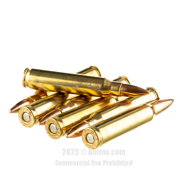 Buy 223 Shells in Bulk (Best .223 Rem Ammo Deals Online)