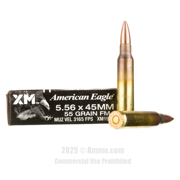 The Best 5.56 Ammo for Home Defense Chosen by Experts