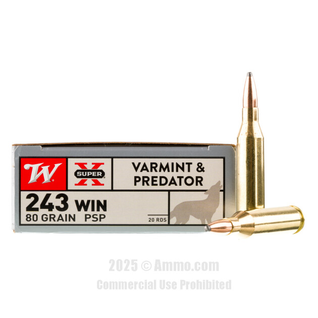 243 Ammo For Sale (Buy 243 Winchester Ammo Online)